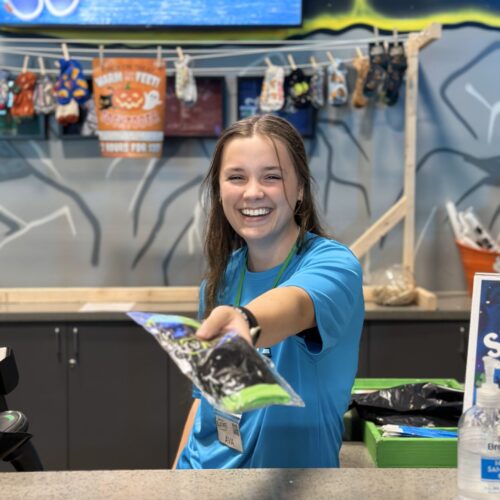 Pricing | Elevate Trampoline Park | Gilbert, AZ